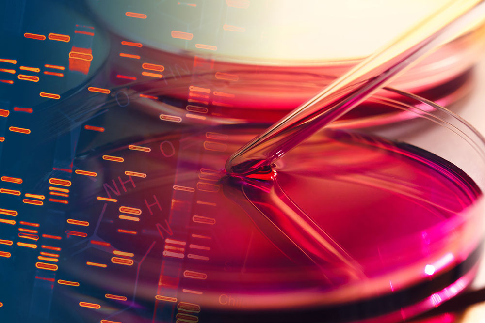 Developing a 3D bioink for use in regenerative medicine