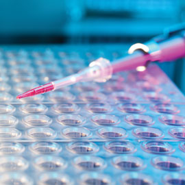 Implementation of high-throughput quality control processs within ...