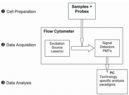 High dimensional flow cytometry comes of age