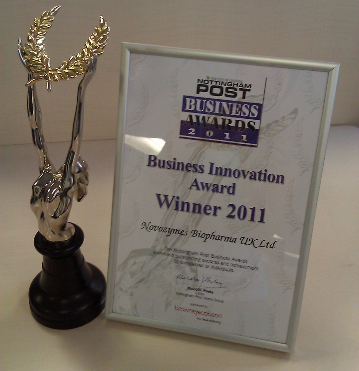 Novozymes Biopharma secures business innovation award - European ...