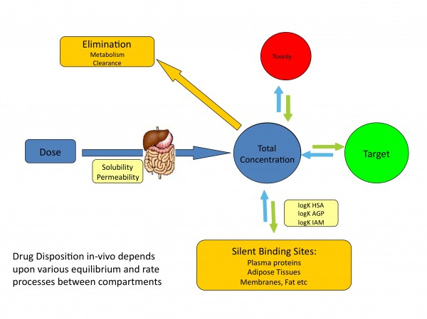 Bio-mimetic chromatography to predict drug distribution in vivo ...
