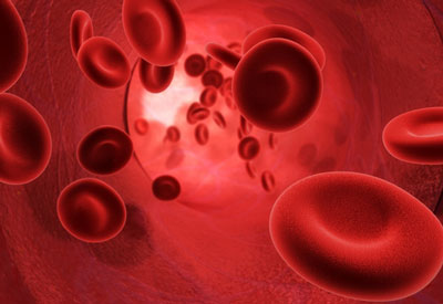 FDA Fast Track designation granted to luspatercept