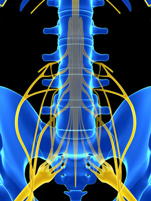 InVivo announces clinical trial site for Neuro-Spinal Scaffold